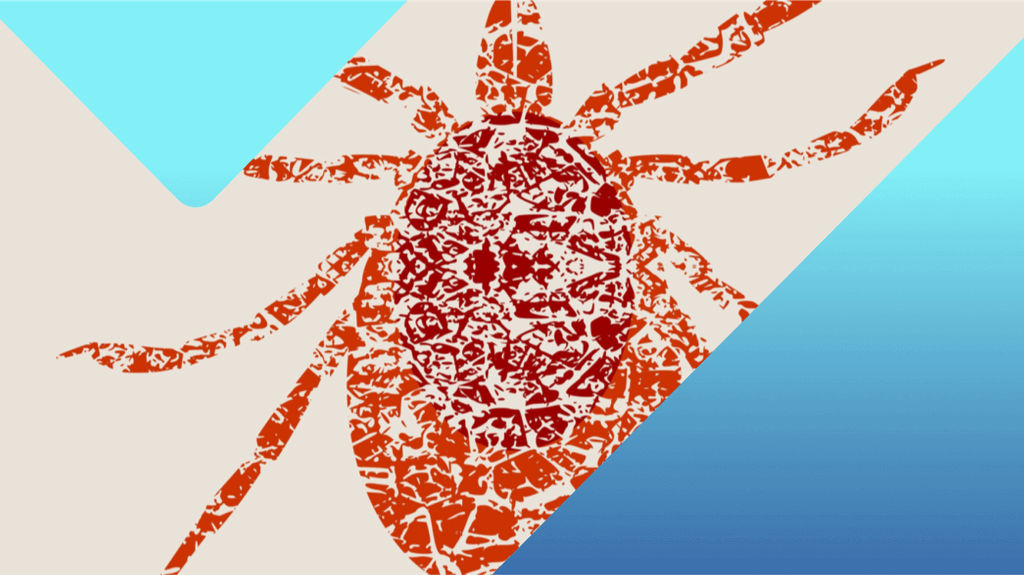 How to prevent a rootkit attack - ThreatDown by Malwarebytes